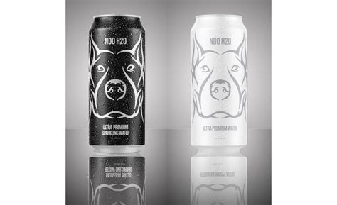 Ndo H2o Ultra Premium Waters Beverage Industry