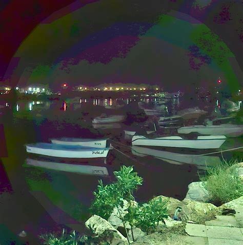 مراد علمدار