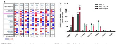 Figure 1 From Transcriptome Based Network Analysis Unveils Eight Immune