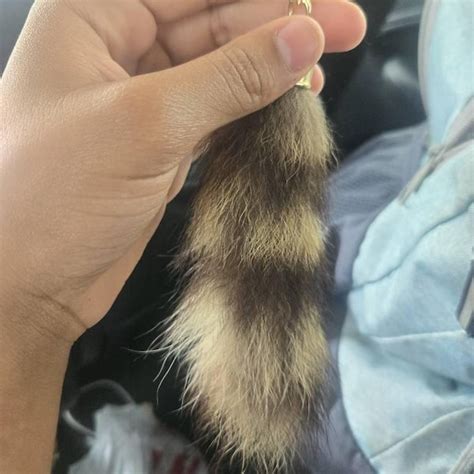 38 Drive Socket Driver Handle Keychain Etsy