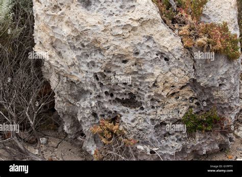 Ancient Limestone Rocky Landscape Margaret Hi Res Stock Photography And Images Alamy