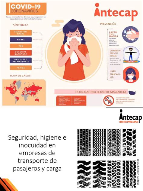 Dsa Final Transporte Pdf Alimentos Patógeno