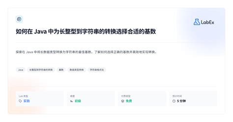 如何在 Java 中为长整型到字符串的转换选择合适的基数 Labex
