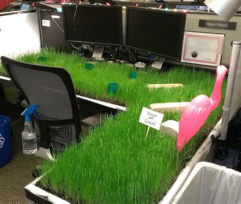 30 Hilarious Pranks For April Fools Day Bored Panda