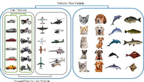 Figure 1 From Object Categorization At The Higher Levels Do With More