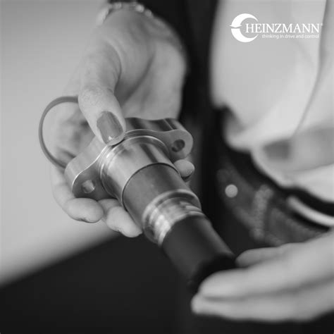 Elham Matin Heinzmann Gmbh And Co Kg