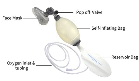 Ambu Bag Kit Manual Resuscitator Bag And Valve Mask