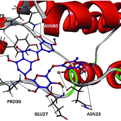 Position And Hydrogen Bonds Of 5 In The Binding Pocket After 150 Ns Of
