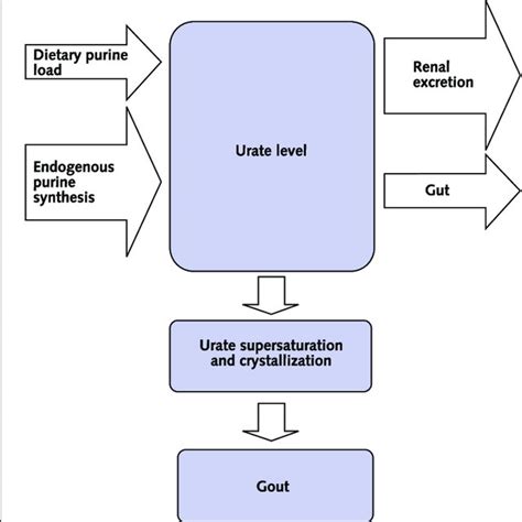 Pdf Pathogenesis Of Gout