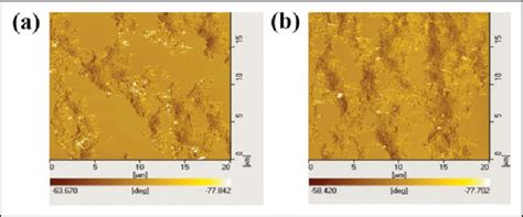A Pla Modified With 5 Of Ple64 B Pla Modified With 10 Of Ple64