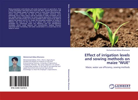 Pdf Effect Of Different Levels Of Irrigation On Maize Yield Water