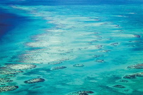 Belizes Barrier Reef The Best Diving In The Caribbean Dive Magazine