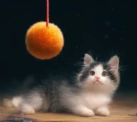 Explore The Advantages Of Catnip Toys For Cats Joyful Play And More