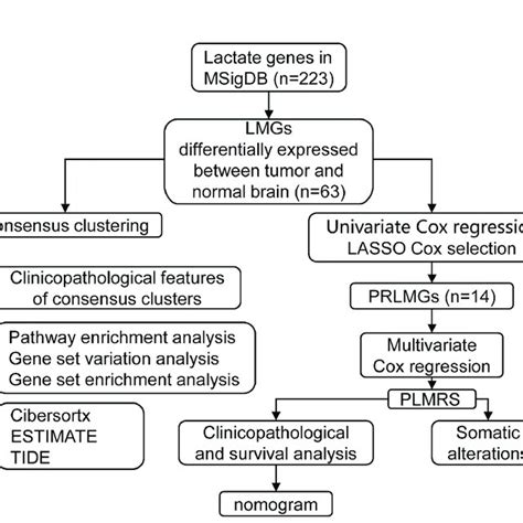 Flow Chart Of Study Design Msigdb Molecular Signature Database Deg