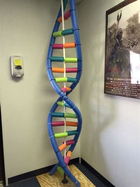 Biology Classroom Decorations