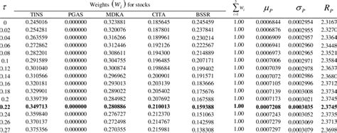 Results Of The Portfolio Optimization Process Using The Singular