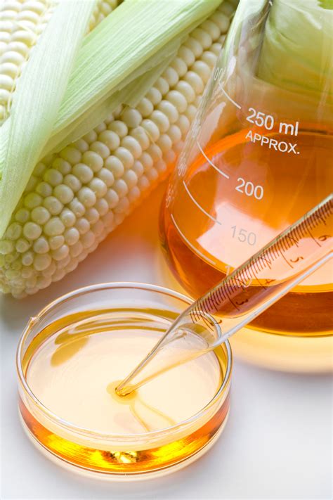 What Is Corn Syrup Savory Suitcase