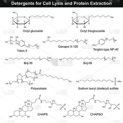 洗涤剂的结构公式