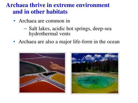 Ppt Chapters 19 And 20 Powerpoint Presentation Free Download Id857725
