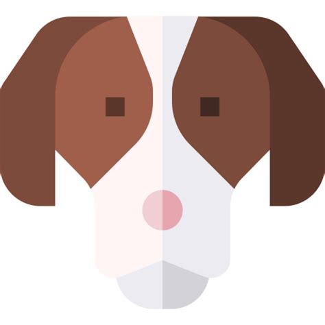 Spaniel Basic Straight Flat Icon