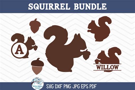 Squirrel Svg Bundle For Cricut Squirrel Silhouette Clipart Png Fall