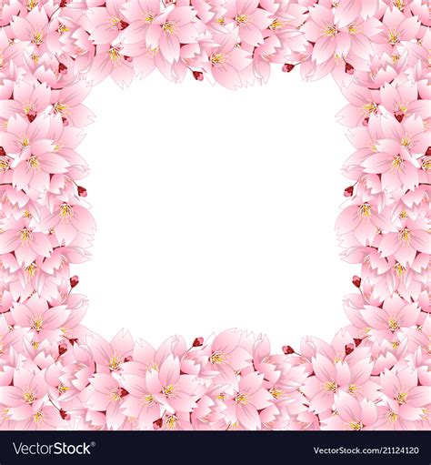 Sakura Cherry Blossom Flower Border Royalty Free Vector