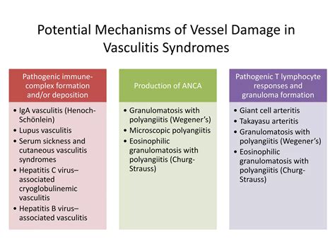 Vasculitis Pptx