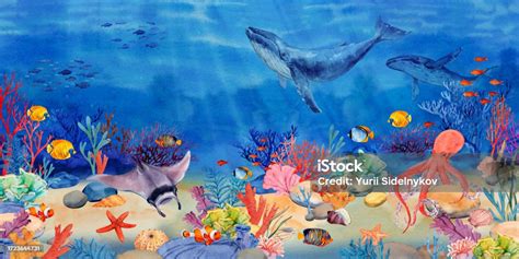 산호초 마나 가오리 문어 물고기와 조개껍데기가 있는 수중 풍경 바다 풍경 그림 두 마리의 혹등고래가 있는 바닷물 장면 열대 지방의 바다 바닥 거북이에 대한 스톡 벡터 아트