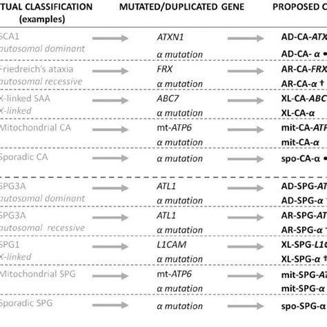 Proposal Of A Modified Classification Of Charcot Marie Tooth Cmt