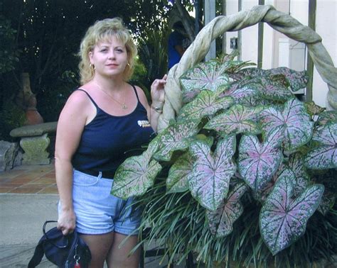 Joan Roxanne Curtis Ledoux 1959 2007 Find A Grave Memorial