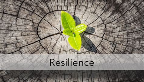 Building Resilience When Youre Feeling Stressed Martial Journal
