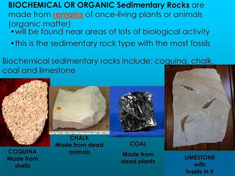 Biochemical Sedimentary Rocks