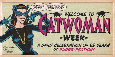 Joe Juskos Catwoman If Selina Kyle Existed This Is Exactly What She