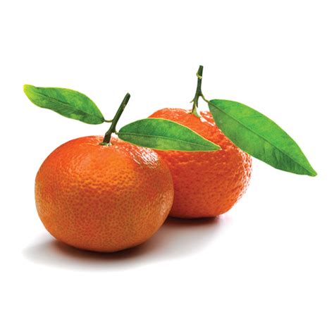 Buy Clementine With Stem And Leaf Sobeys Inc