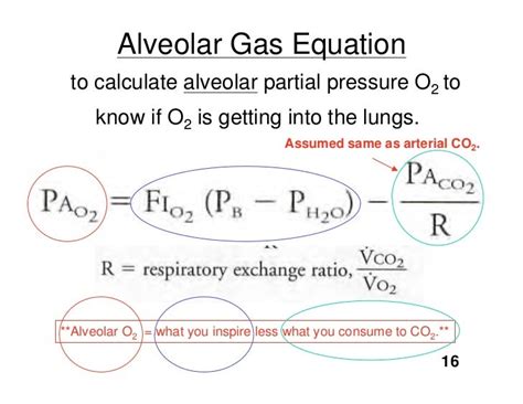 Alveolar Gas Equation Calculator At Brodie Eldershaw Blog