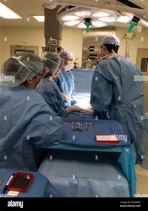 Bowel Obstruction Surgery Surgical Team At Work In The Operating Room They Are Carrying Out An