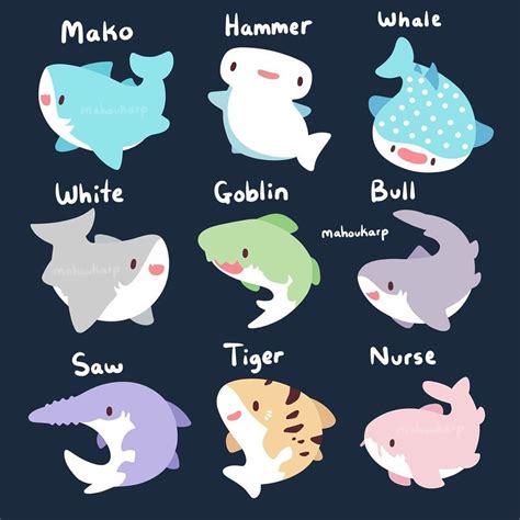 Cute Shark Drawing Pic Drawing Skill