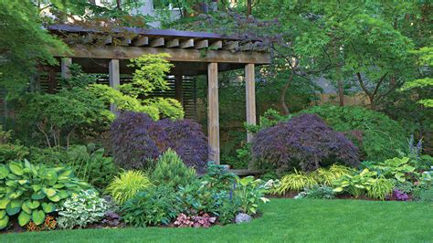 How To Shade Garden Plants At Vivian Nelson Blog