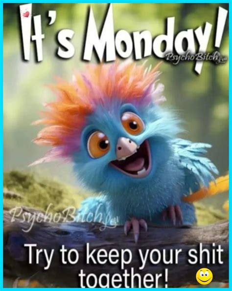 Funny Monday Morning Sayings Good Morning Monday Funny Funny Monday