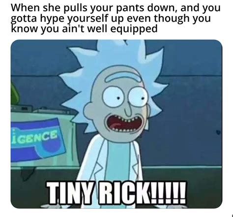 451 Best Tiny Rick Images On Pholder Rickandmorty Aww And Mortytown