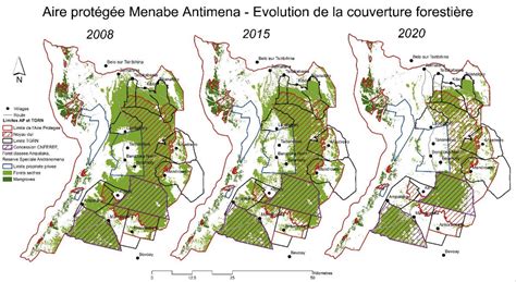 Worlds Smallest Primate Is Fading Into Extinction Scientists Fear