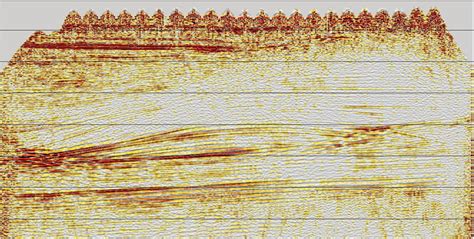 Seismic Data Processing Reservoir Evaluation Services