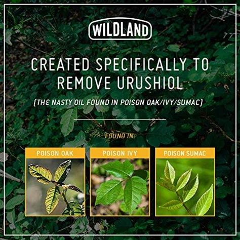 Wildland Poison Oak And Poison Ivy Prevention Wipes 12 Pack Urushiol