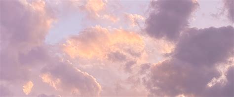 Ee System Research The Healing Realm