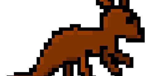 Kangaroo Album On Imgur