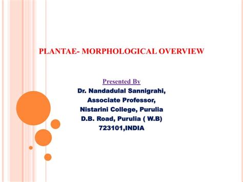 Basic Idea About Cryptogams And Phanerogams With Examplespdf
