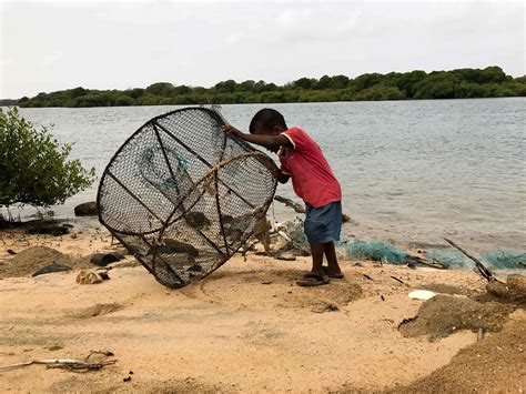 Ecosystem Based Adaptation In Djibouti 2010 2016 Unep Un