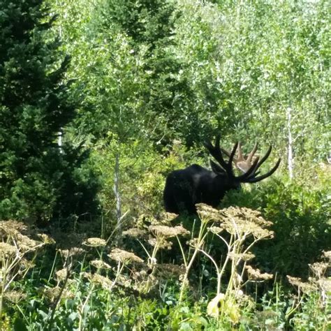 David Physics Youtube