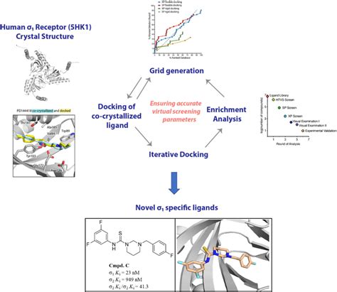 Schematized Representation Of The High Throughput Structure Based