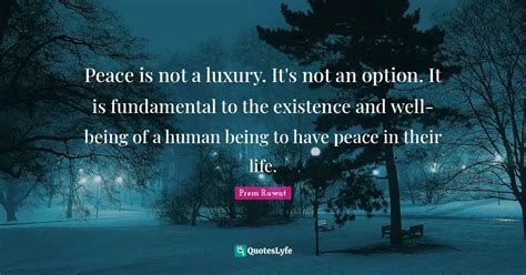 Peace Is Not A Luxury Its Not An Option It Is Fundamental To The Ex